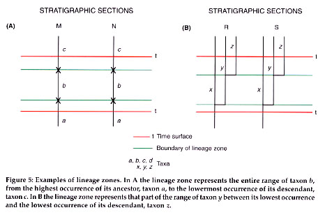 International Commission on Stratigraphy